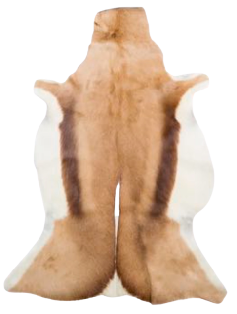 Springbok Rug | Home Decor | Italian Leather