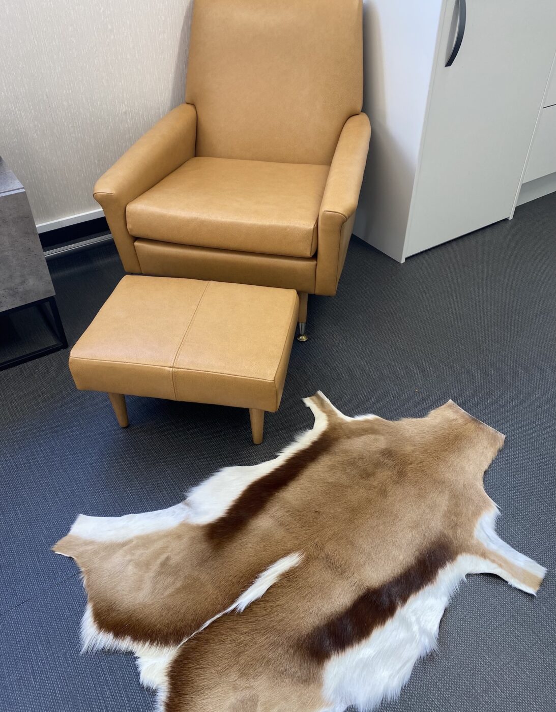 Springbok Rug - Home Decor - Italian Leather