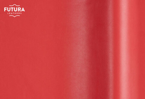 Angola - 76042 | Full Grain | Italian Leather