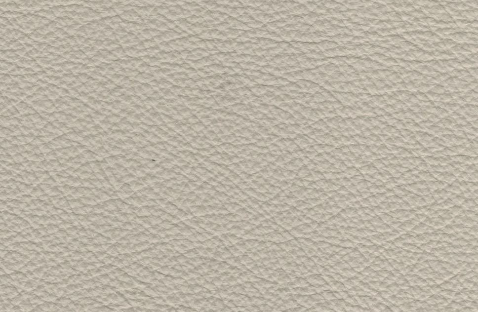 Quality & Luxury Leathers in NZ | The Italian Leather Company